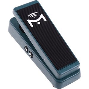 Pigtronix Dual Expression - Pedals At Dawn